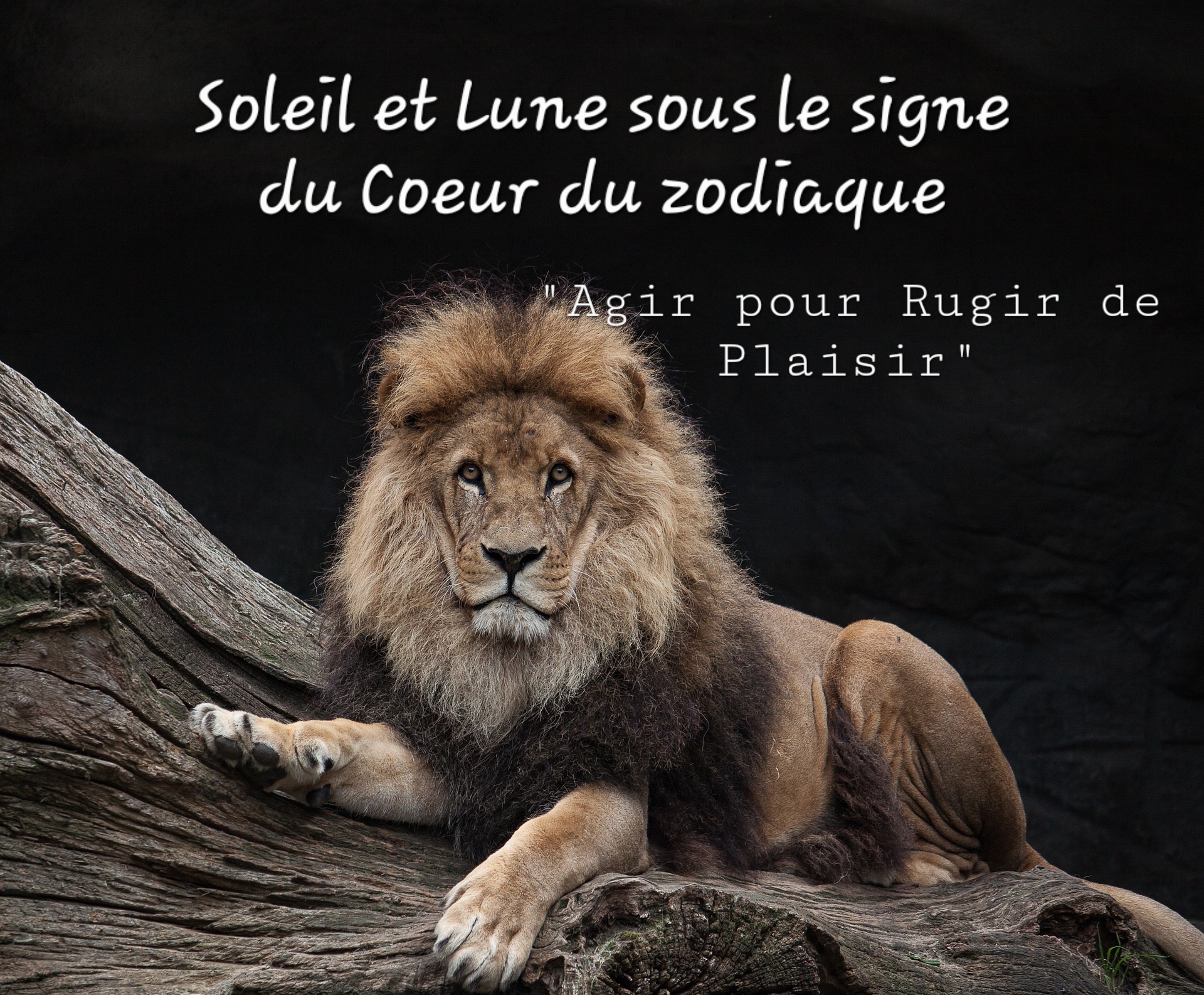 Nouvelle lune du 28 juillet en Lion - Energies de l' Être